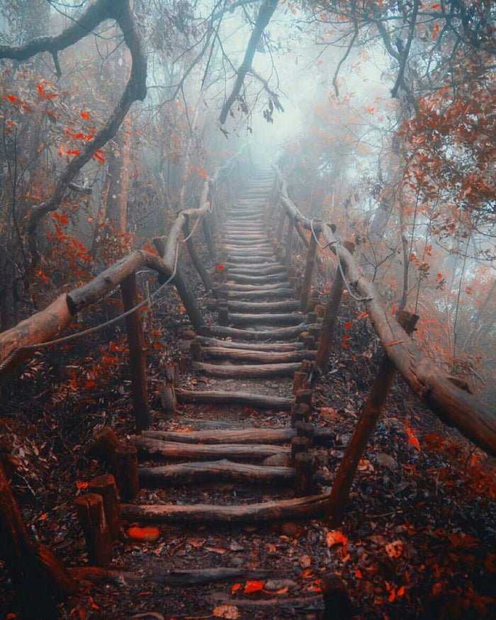 I took this picture in Taichung Forest - 9GAG