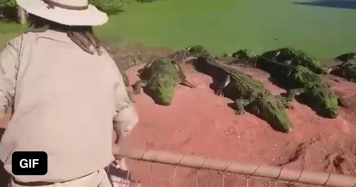 Damn it, Gary. You blind piece of shit. - 9GAG