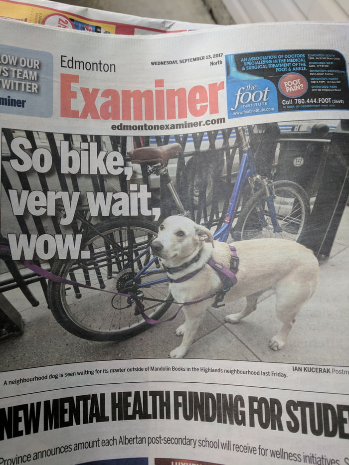 When even you're local newspaper is getting in on the memes - 9GAG