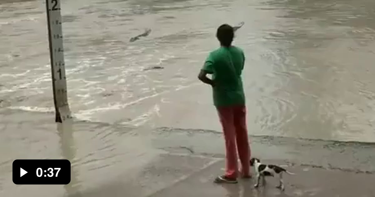 The mighty Chancleta, the weapon of choice of the Dominican Mom. - 9GAG