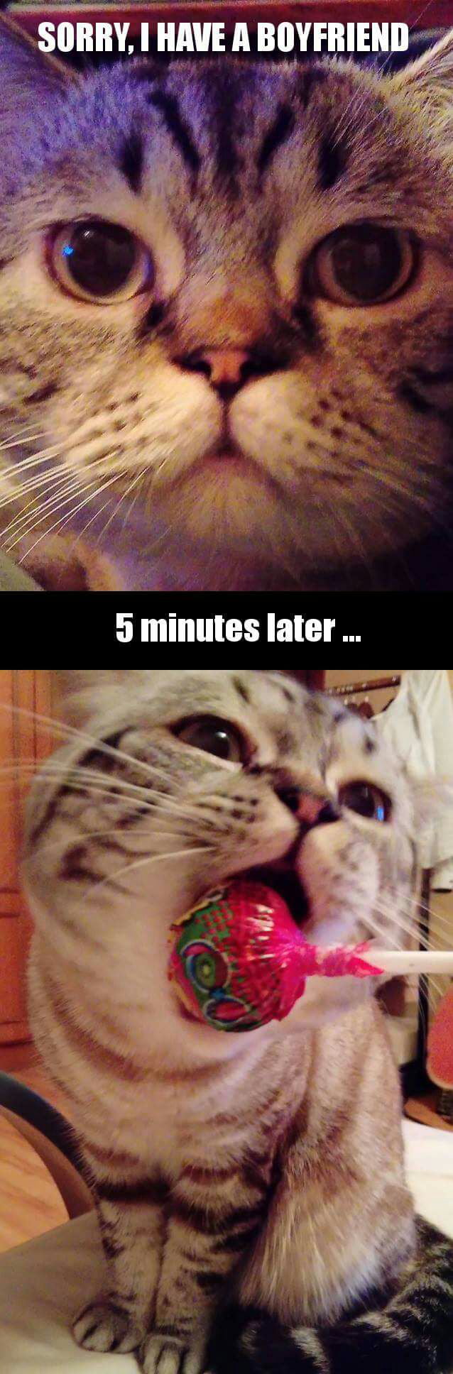 Licky licky sucky sucky - 9GAG