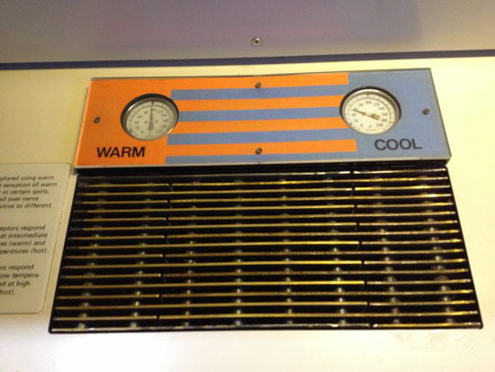 Half these metal bars are connected to a heater and are just above body ...