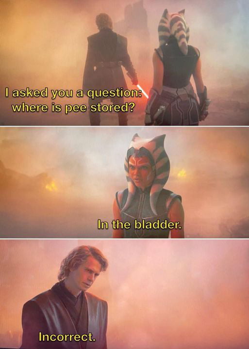 Still much to learn, apprentice. - 9GAG