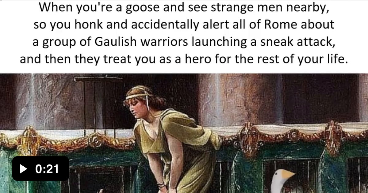 Sacred geese of Juni were the MVP - 9GAG