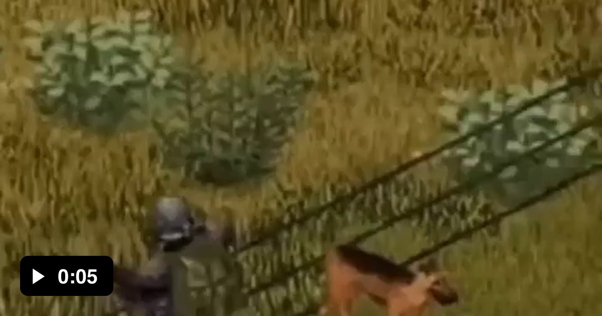 A bit suspicious innit? - 9GAG