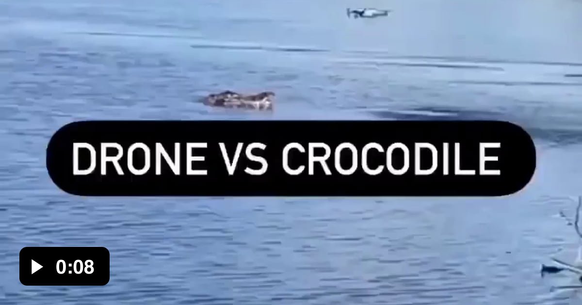 Playing with a drone - 9GAG