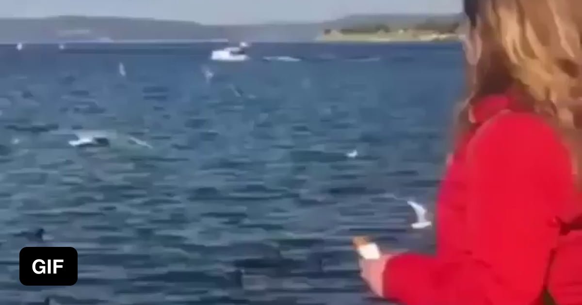 Not too bright... - 9GAG