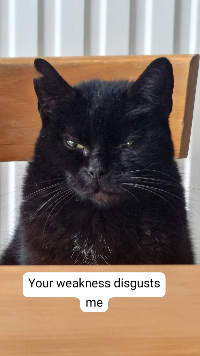 Disgusted by your weakness - 9GAG