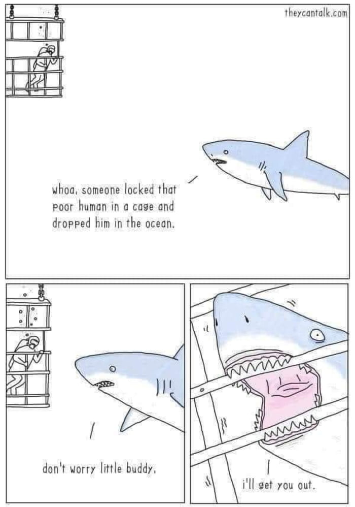 Thanks shark! - 9GAG
