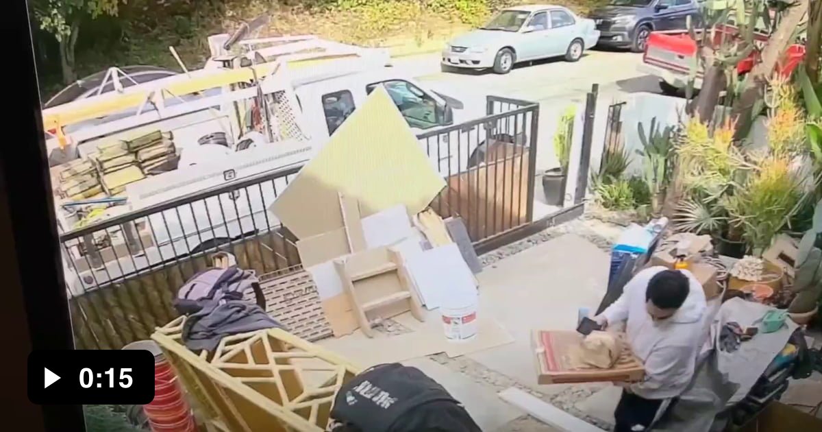 Ish that peesha? I love peesha! - 9GAG