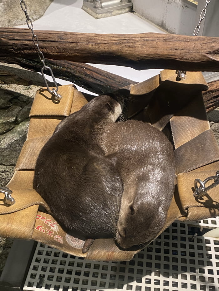 What’s your favourite position? - 9GAG