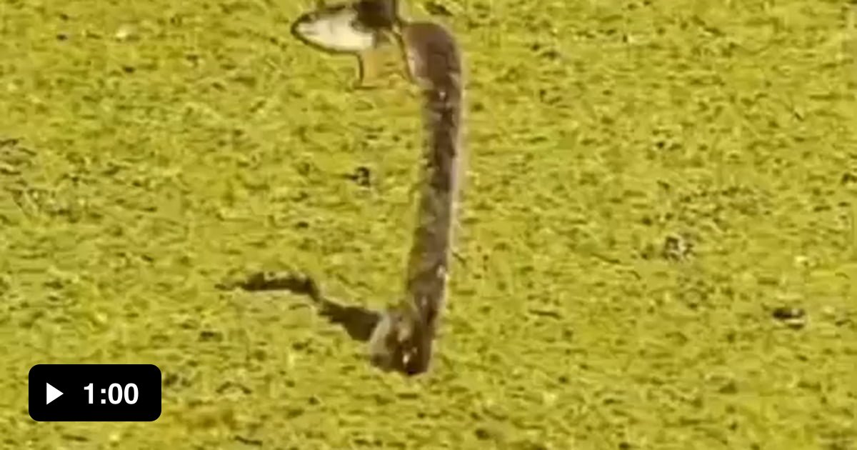 Title is necessary to publish - 9GAG