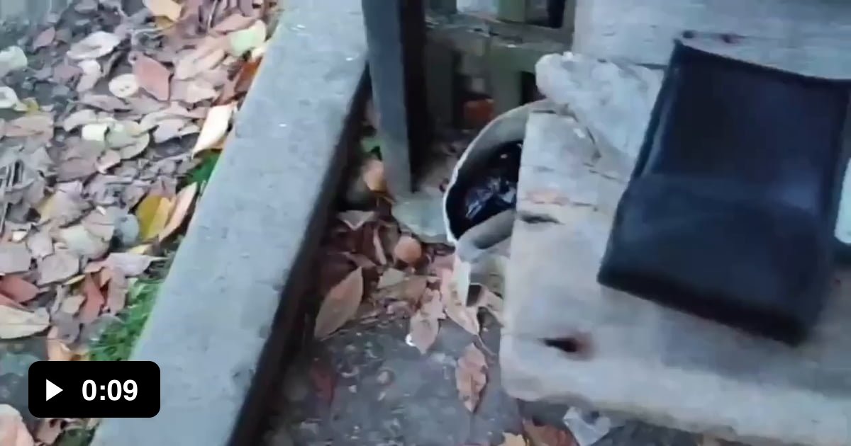New type of Ukrainian DIY grenade. They should have used Pepsi, though ...