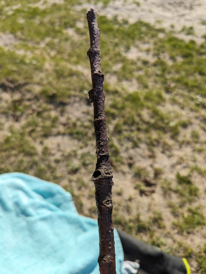 Rate my stick - 9GAG