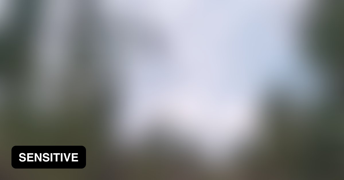 Vultures swoop on red deer aaaaand it's gone in 60 seconds - 9GAG