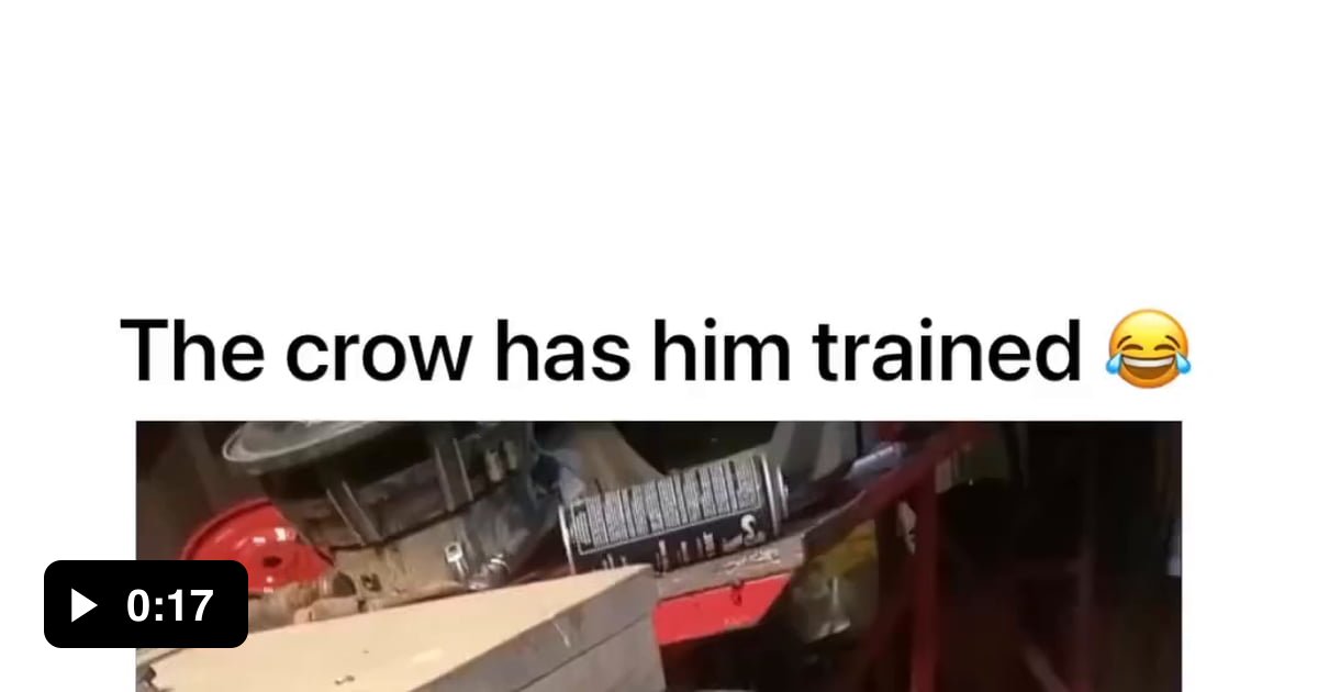 The crow of Judgement - 9GAG