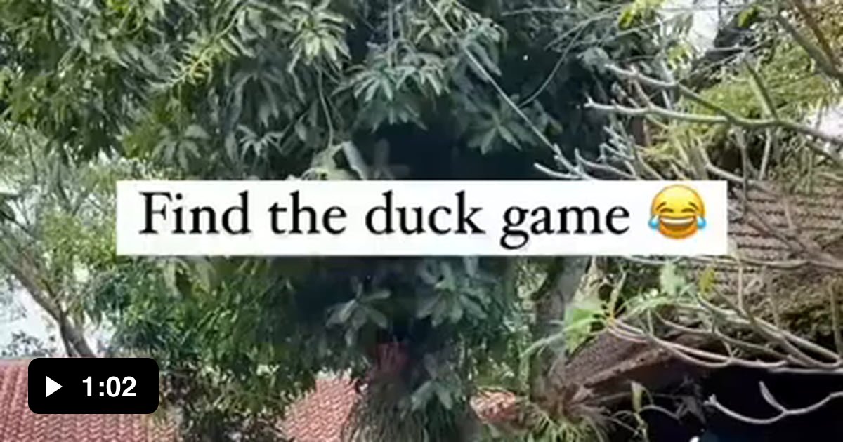 Find the duck game - 9GAG