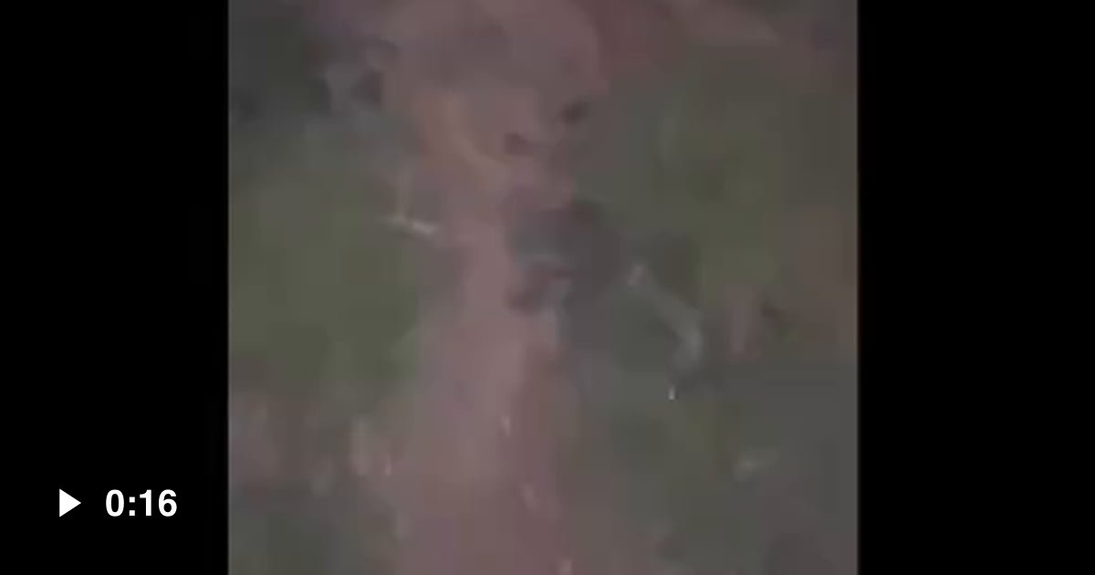 Let the bobr bring back 9gag - 9GAG