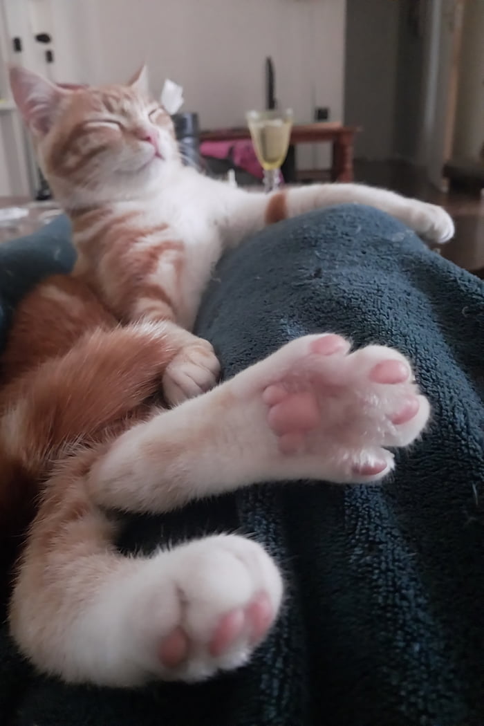 Showing off them toe beans while enjoying a glass of wine - 9GAG