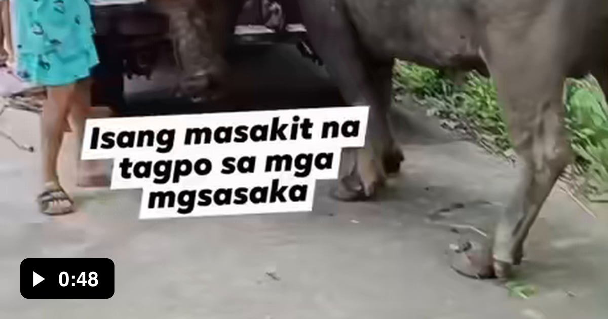 Nilipat Ko Lang To Ha Baka May Balat Sibuyas Na Naman Jan Na Matrigger Langya Meme Site To