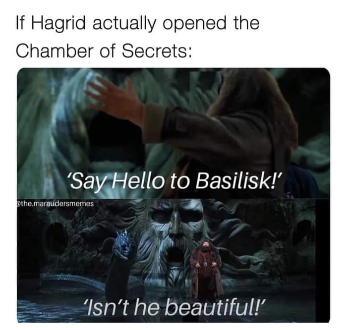 They're misunderstood creatures - 9GAG