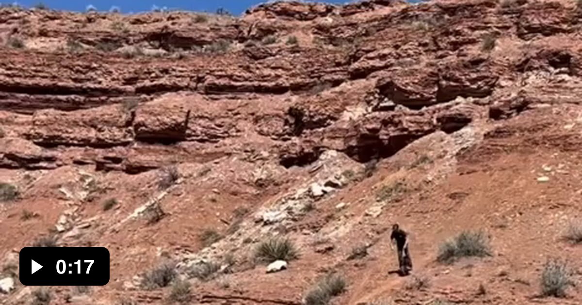 Jumping A Ravine On A eevee - 9GAG