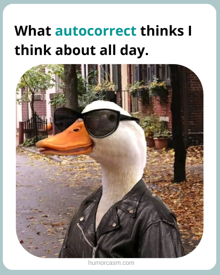 Ducking Duck. Duck this. - 9GAG