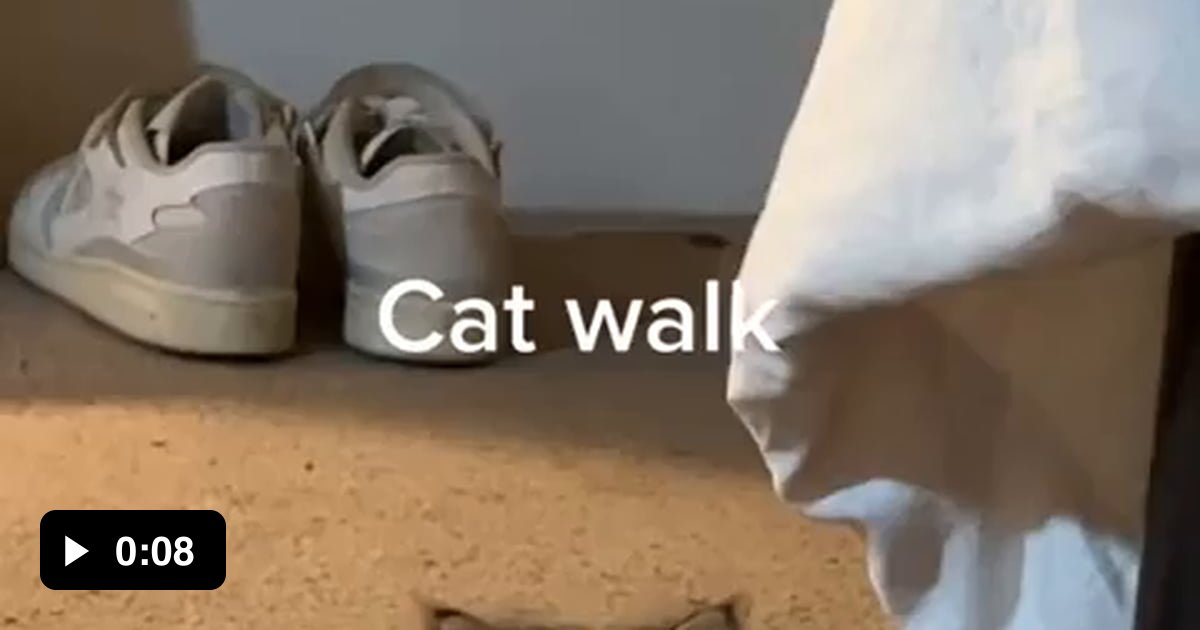 OH THATS WHY ITS CALLED A CAT WALK - 9GAG