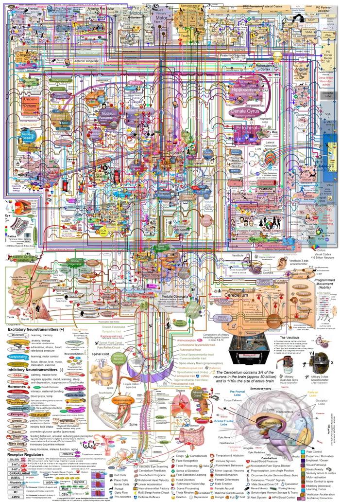 Map of The Brain - 9GAG