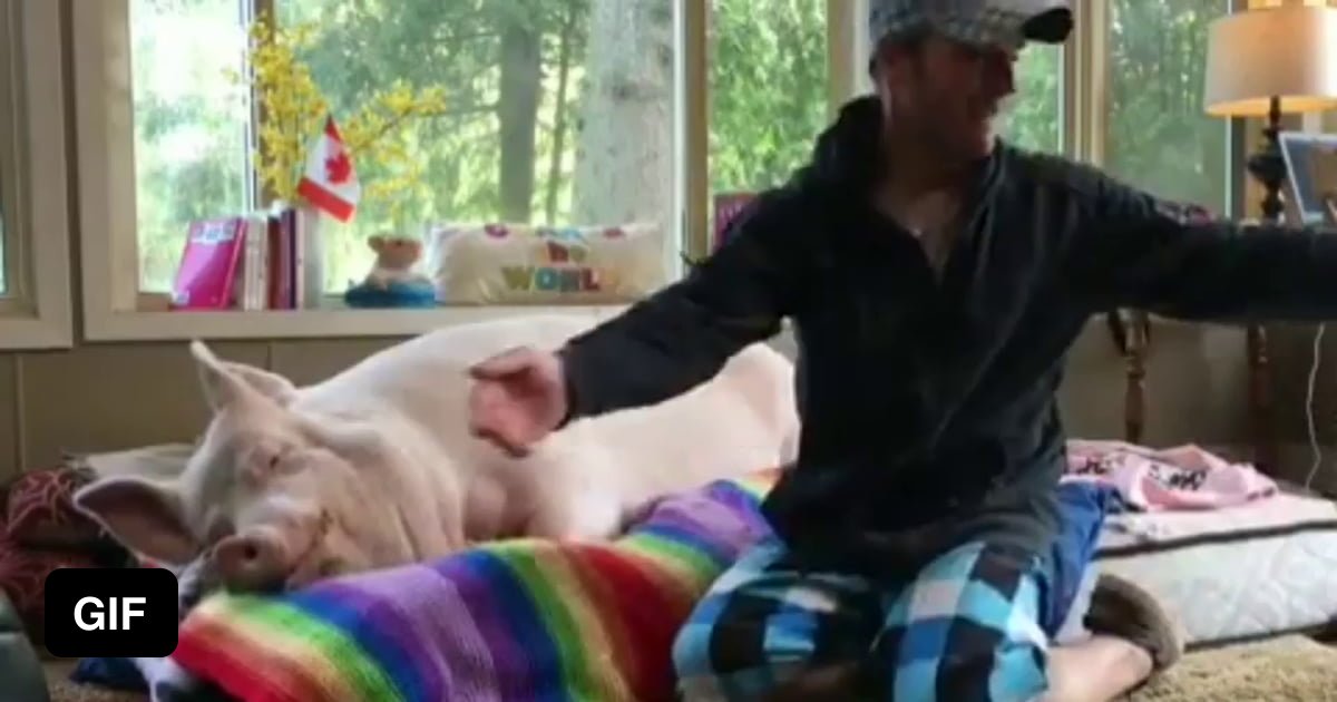 Make sure to hug your friends - 9GAG