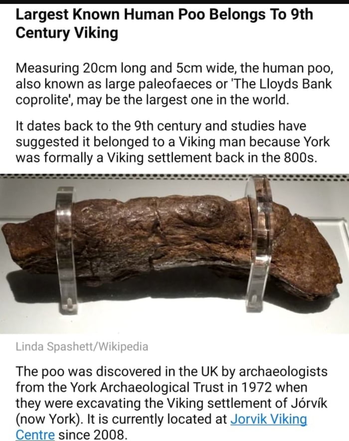 That 9th century Viking that woke up with a sore stomach had no idea he ...