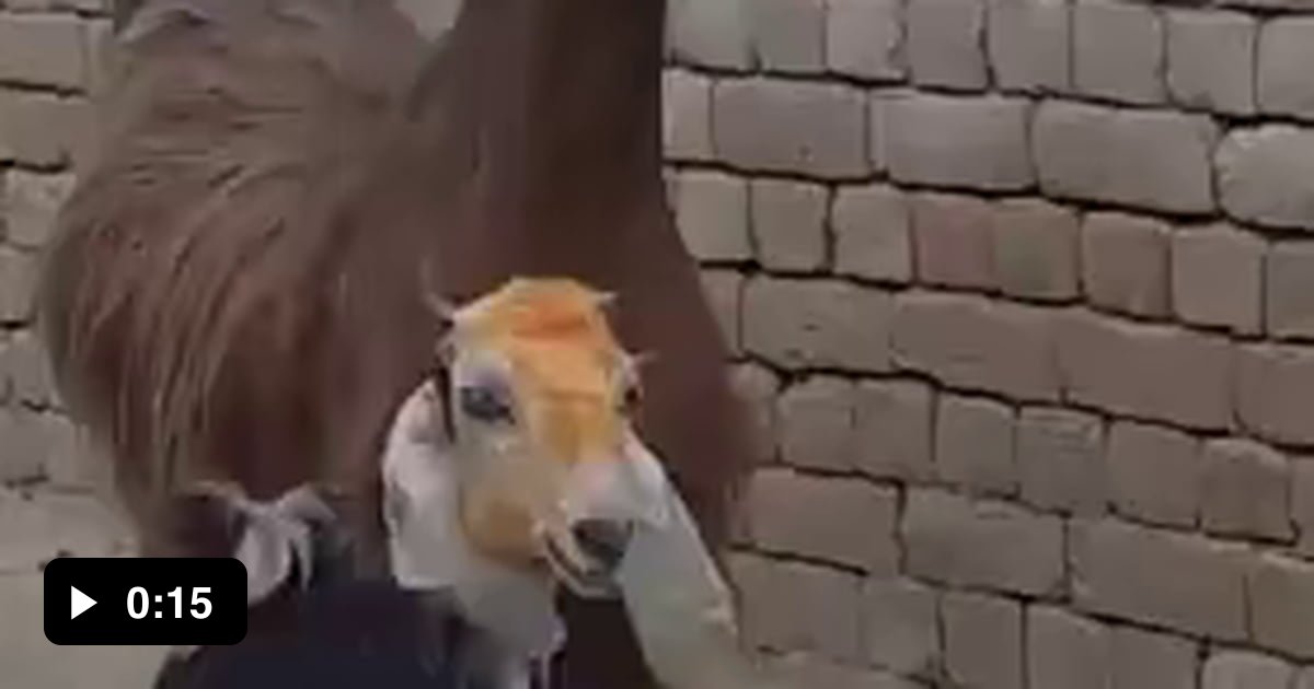 Walking into Friday like - 9GAG