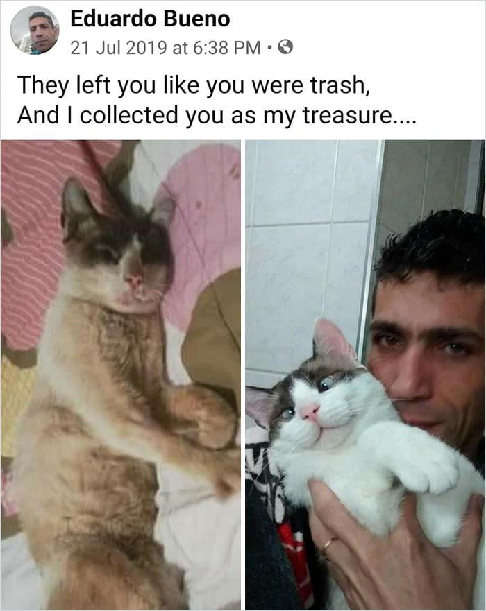 Sweet 9gag