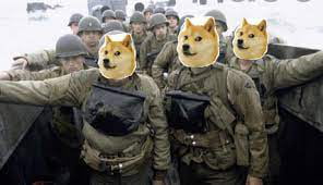 Where are the doge army and cate army? They just up and vanished from ...