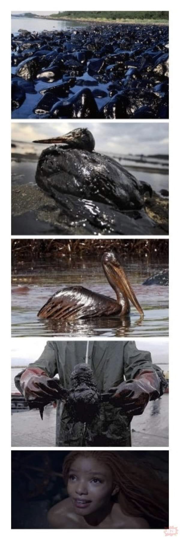 What can oil spill do with oceans - 9GAG