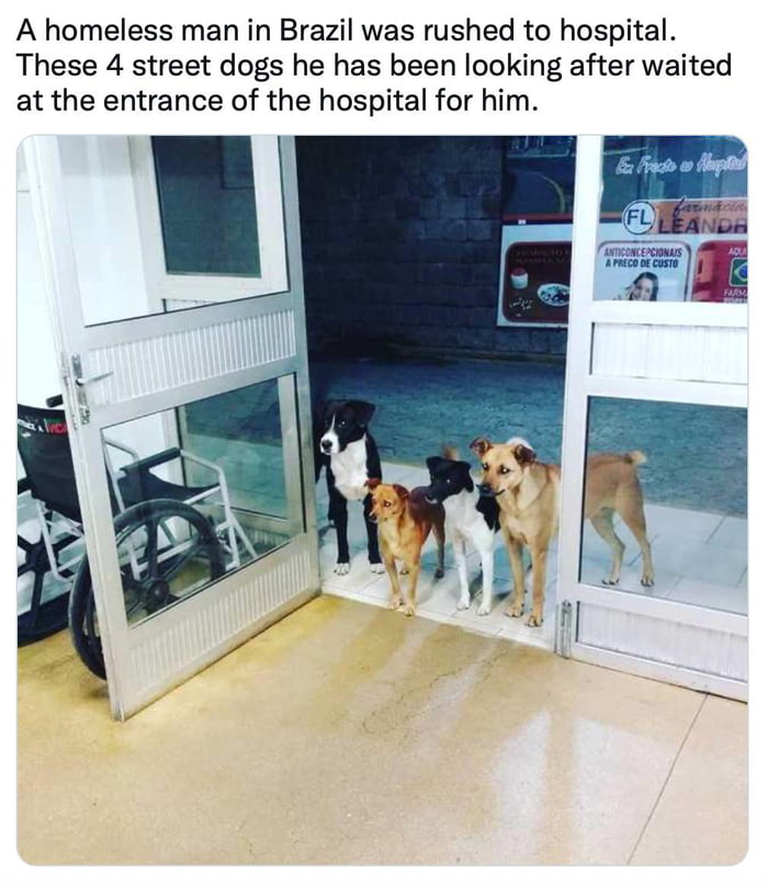 This is some Disney-level stuff right here - 9GAG