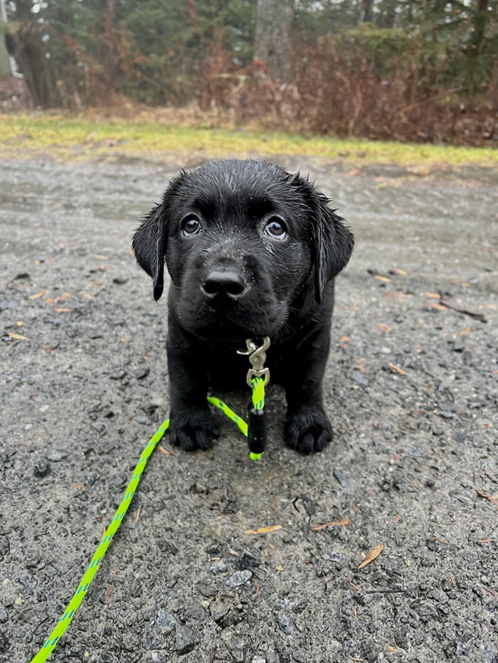 The “pick me up” eyes - 9GAG