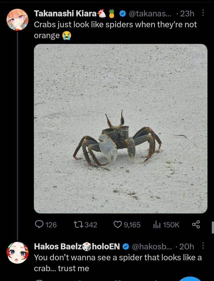 Not the Australian spiders Bae 😖 - 9GAG