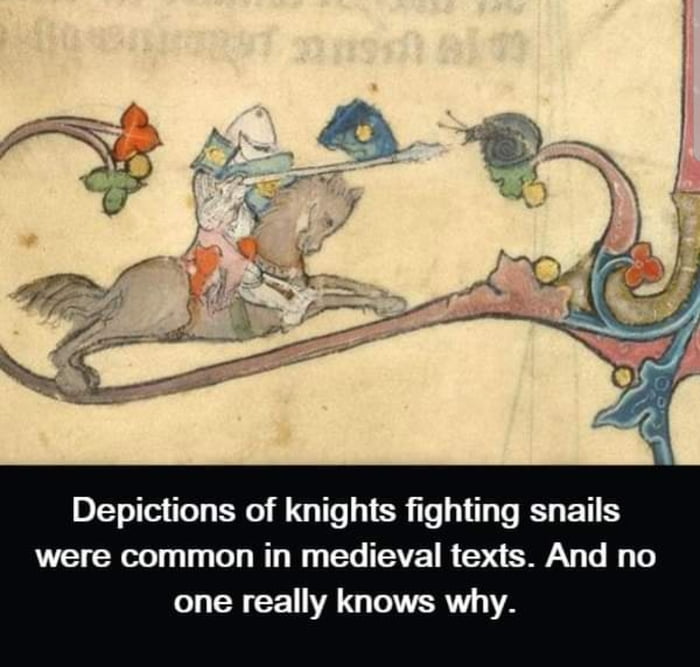 The snail has been around for a while. - 9GAG