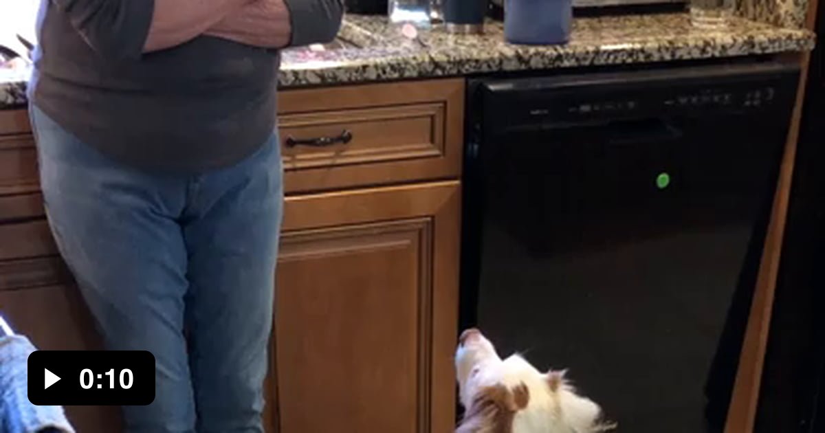 Layla’s old lady tippy taps! - 9GAG