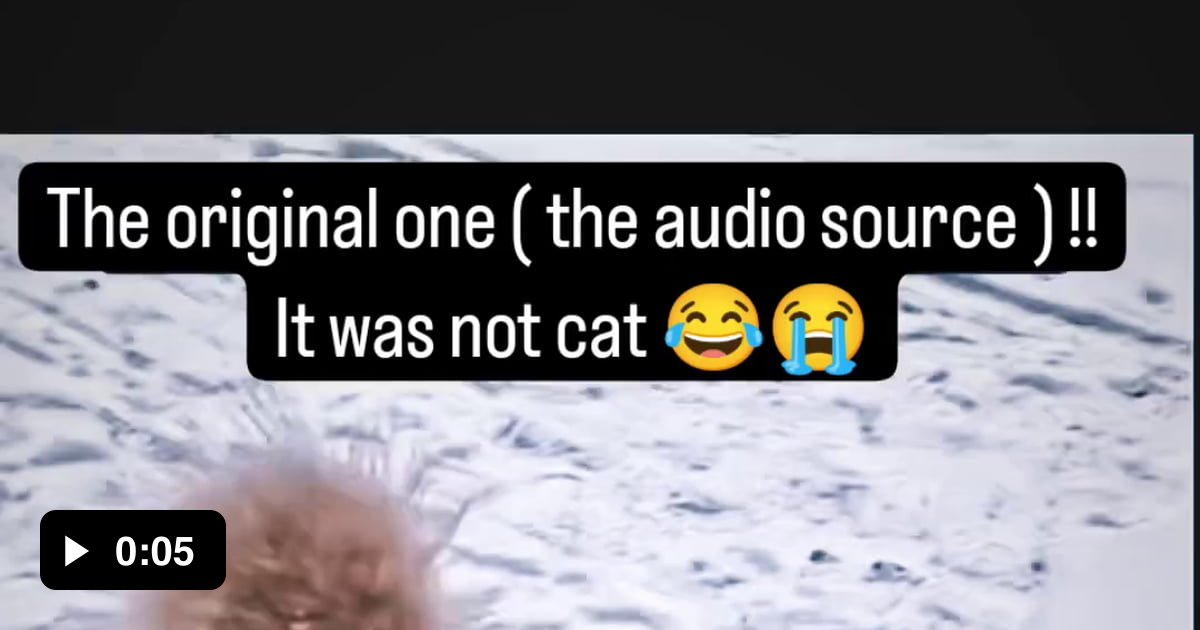 Doksli kucing juling - 9GAG