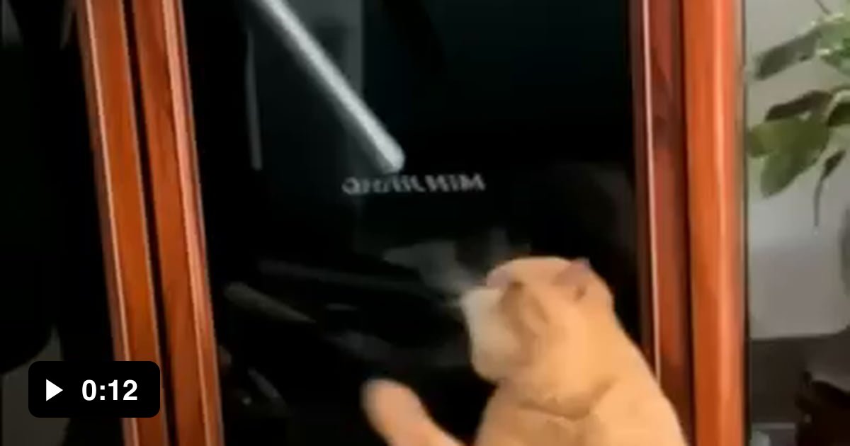 Thats The Spot 9gag