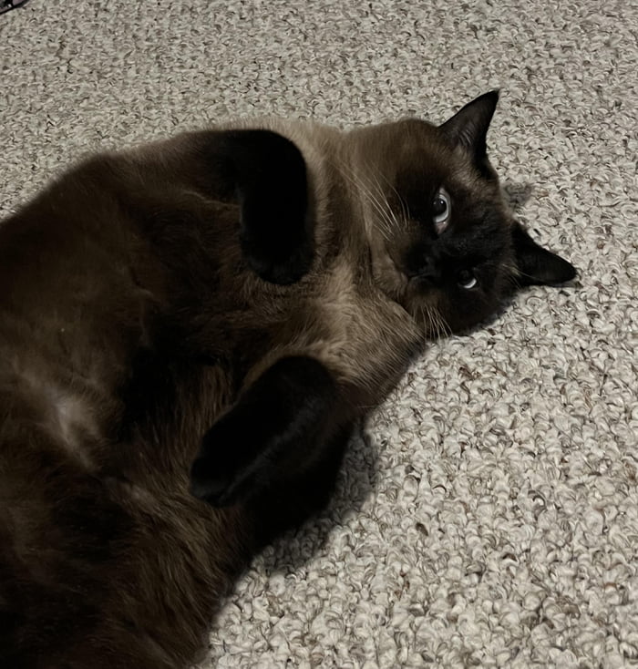 Lazy wednesday - 9GAG