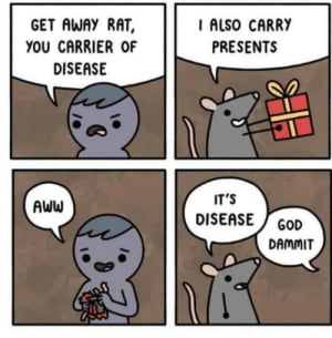 Kind rat giving presents - 9GAG