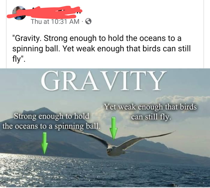 All objects have the same density and aerodynamics, therefore gravity is fake - 9GAG