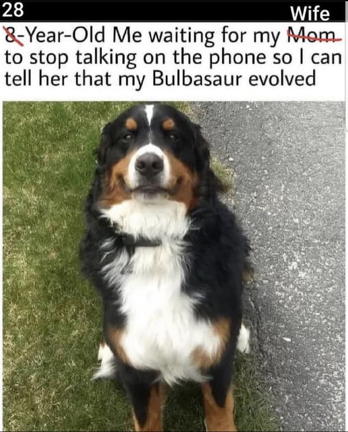 I wish she would stop talking.. - 9GAG