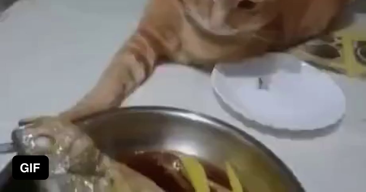 Just a little touchy - 9GAG