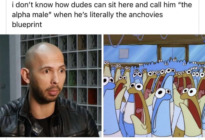 The weakest chin in the game baby. - 9GAG