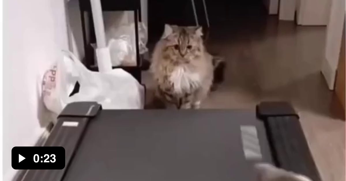 It's time to exercise - 9GAG