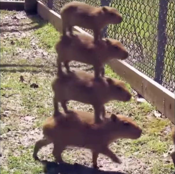 Stack overflow....? - 9GAG